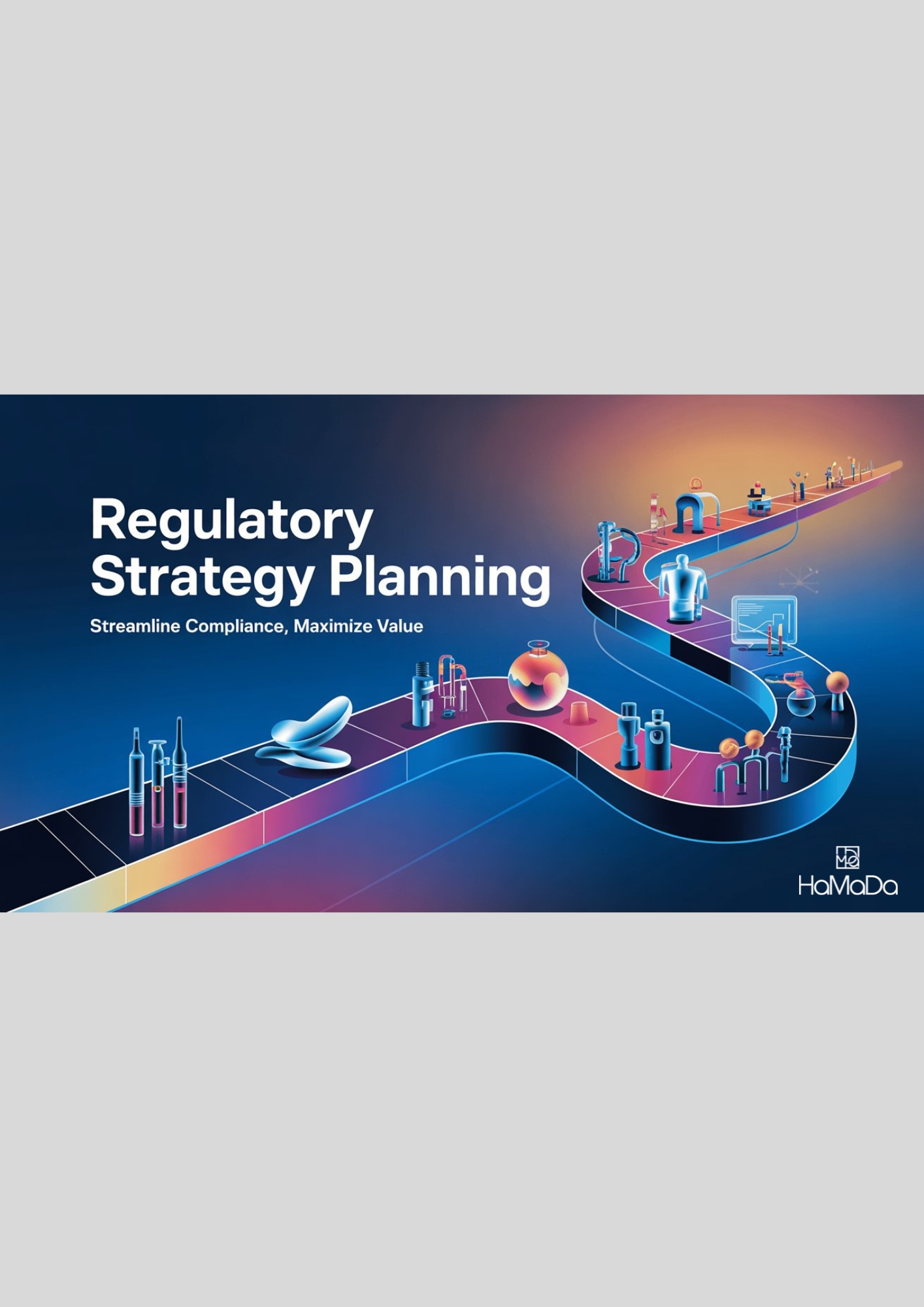 Regulatory Strategy Planning - HaMada